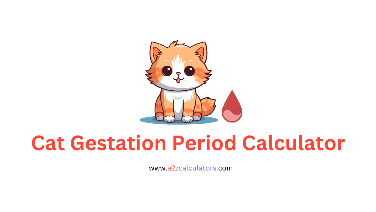 Cat Gestation Period Calculator