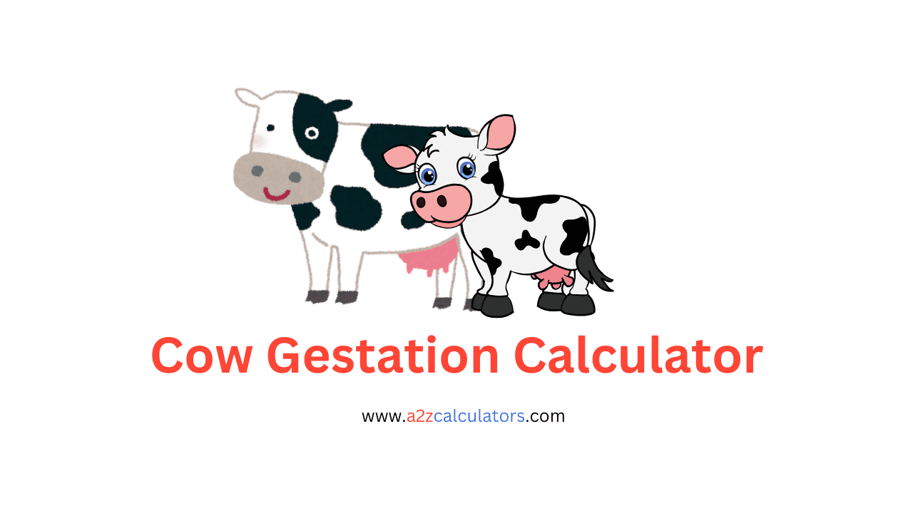 Cow Gestation Calculator