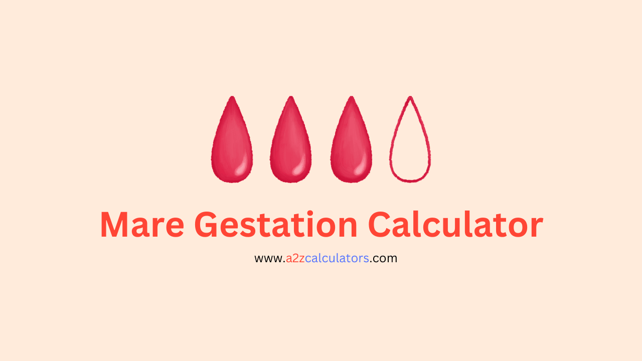 Mare Gestation Period Calculator