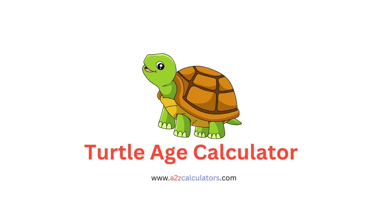 Turtle Age Calculator